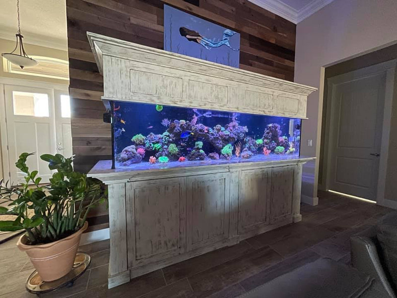 The Fish Tank