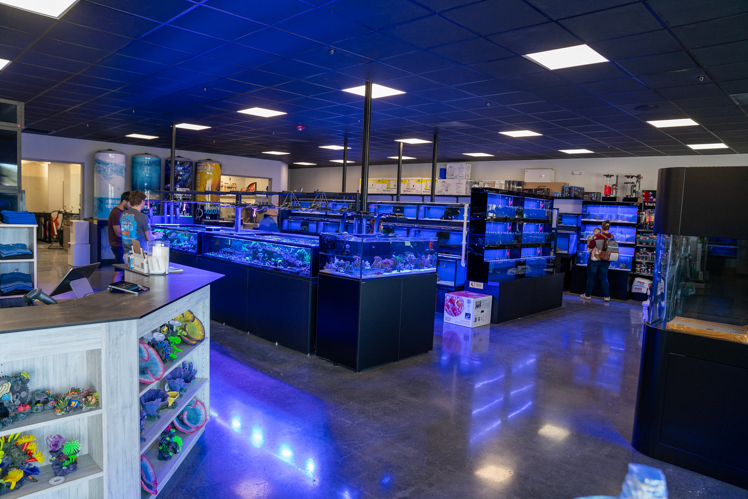 Contact | thefishtankdb